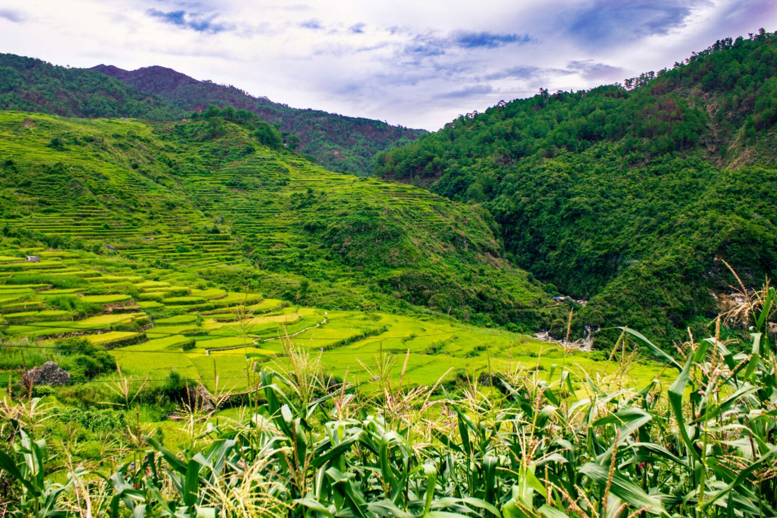 10 Scenic Spots that Make the 12Hr-Trip to Cordilleras Worth It | WK ...