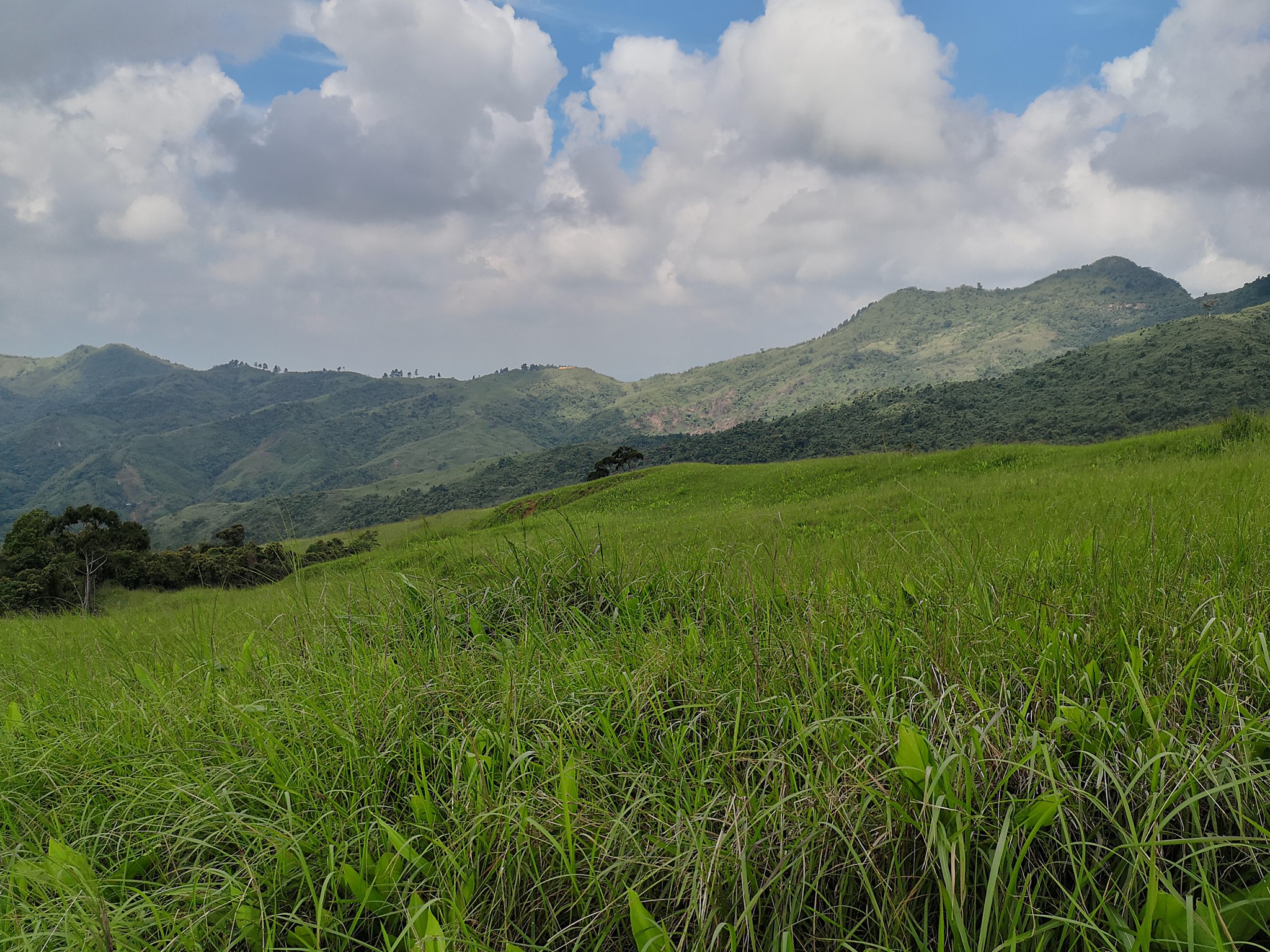 Trekking Mt Batolusong: Discovering Serenity and Spectacular Views | WK ...